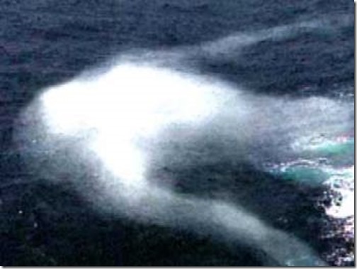 “Ningen”: un animal extraño e inexistente | Marcianitos Verdes